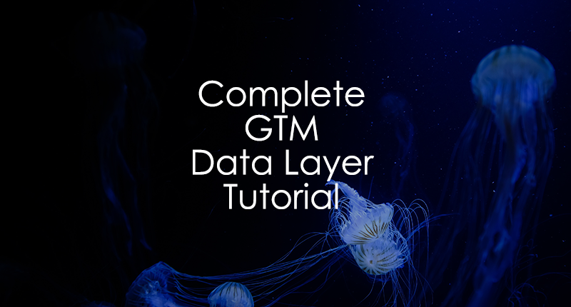 Google Tag Manager Data Layer Tutorial (2025) with Examples