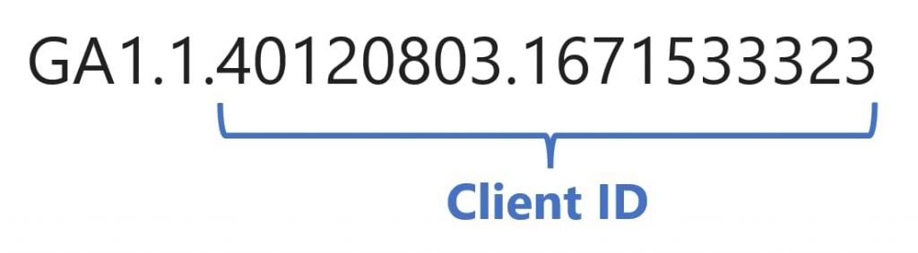 A Guide to Google Analytics Client ID (2025) - Analytics Mania